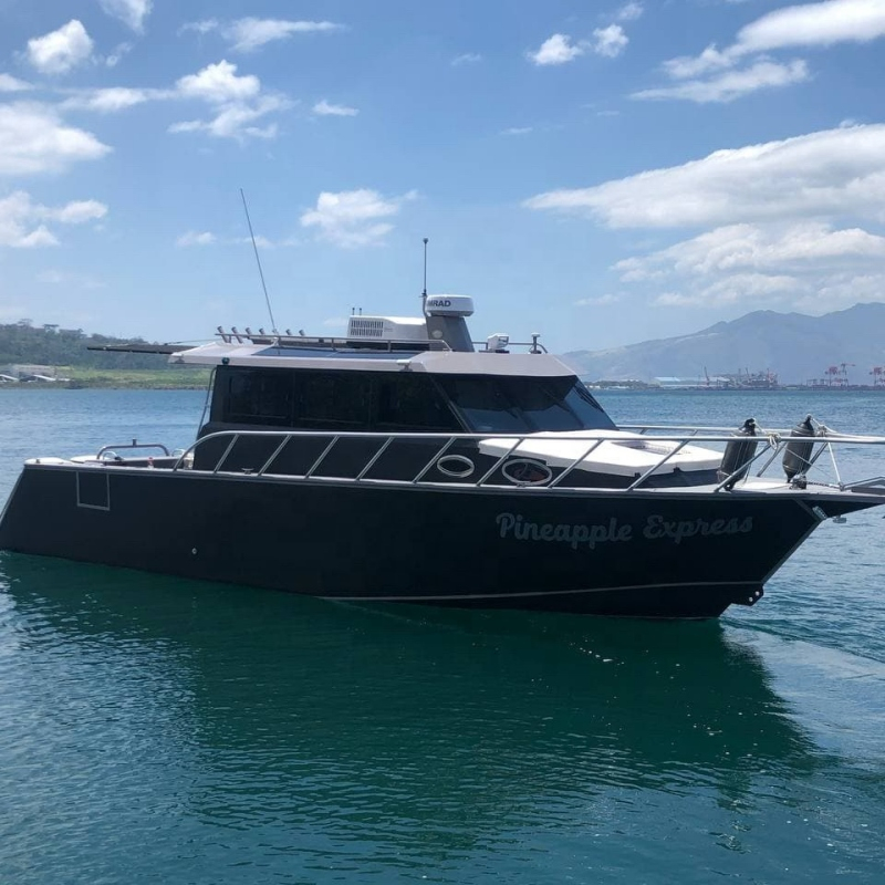 36ft 11m Family Use Center Cabin Luxury Yacht Outboard Motor Aluminum ...