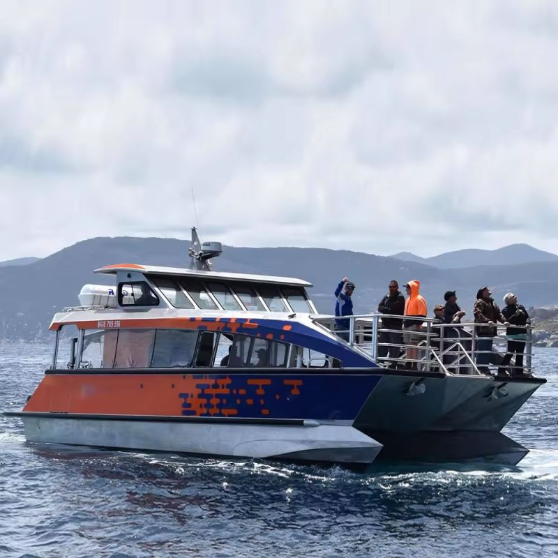 15m Aluminum Yachts Luxury Fishing Catamaran Passenger Yacht Boat With ...